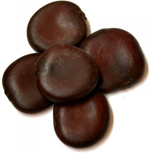 Entada Rheedii 1 Seed| | Globalherbs-wholesale